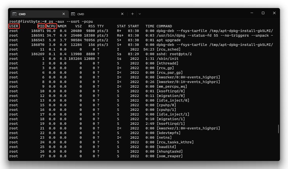 How To View Cpu Usage In Linux Server Firstbyte
